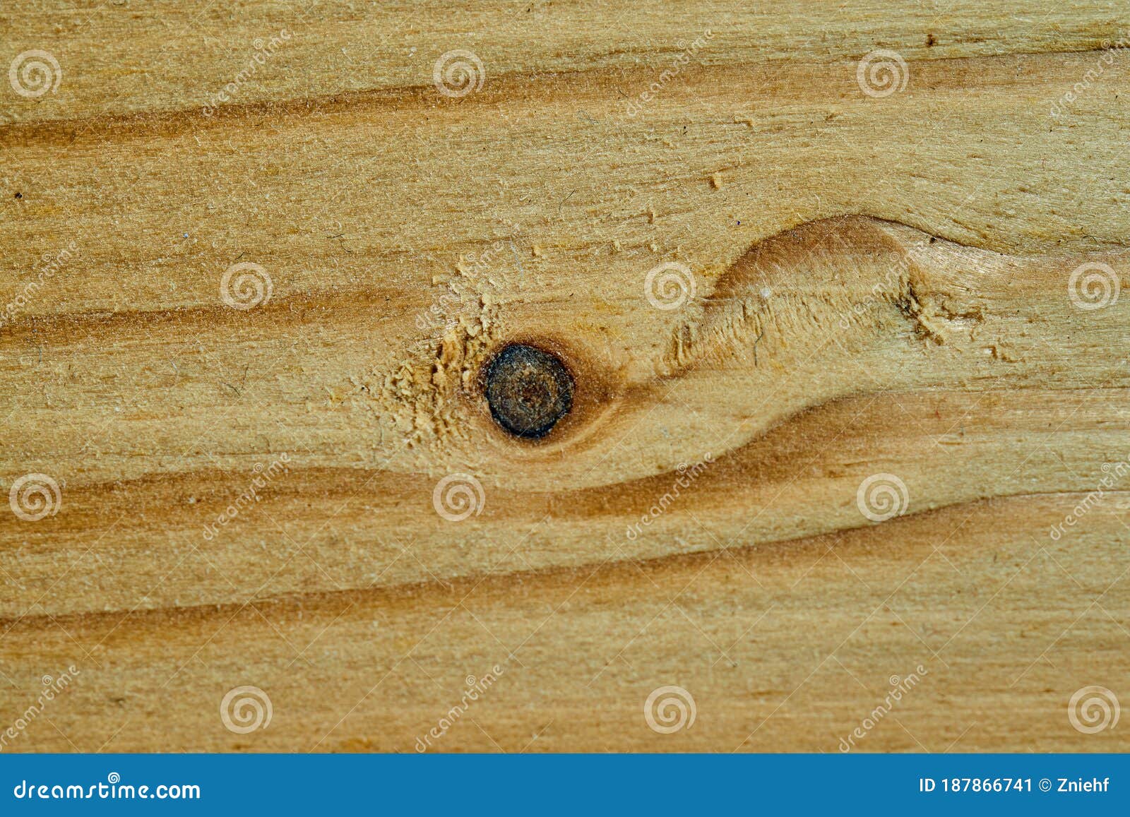 Dark Knothole in a Light Grained Wood Panel, Close Up, Texture ...