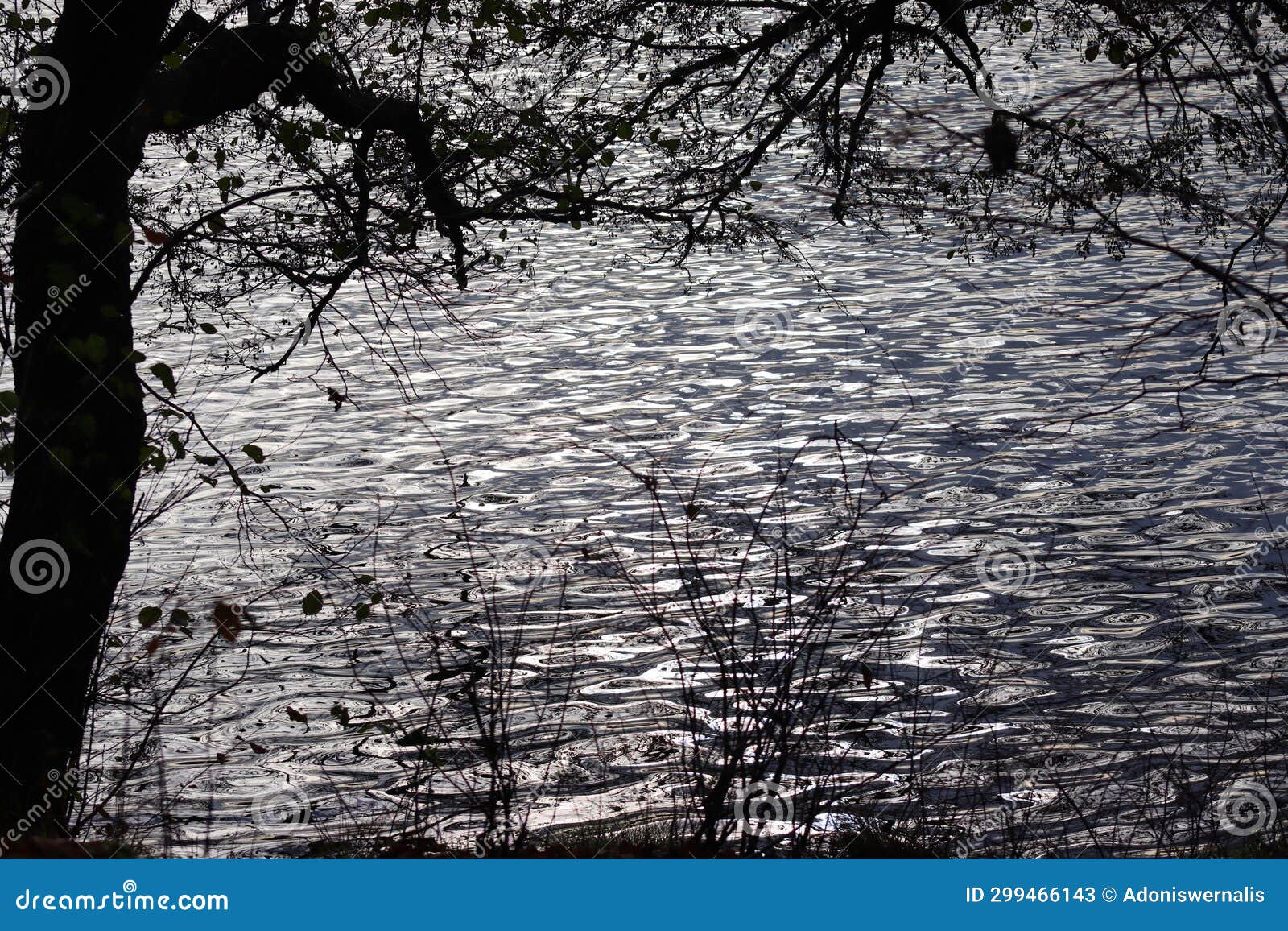 A Dark Lake in Gray Color. Dark Water Stock Image - Image of nature ...