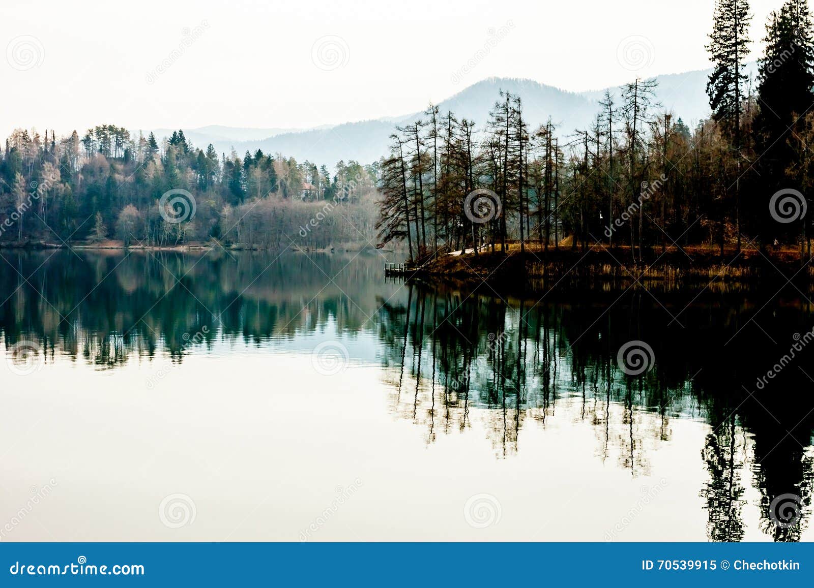 Dark Lake Shore with Forest Stock Image - Image of natural, water: 70539915