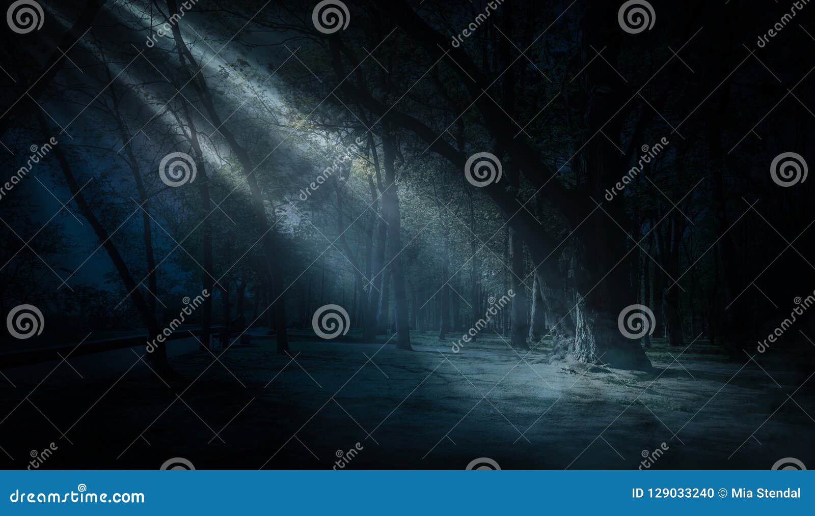 Dark Forest, Rays of Sunlight through the Trees, a Magical Forest Stock ...
