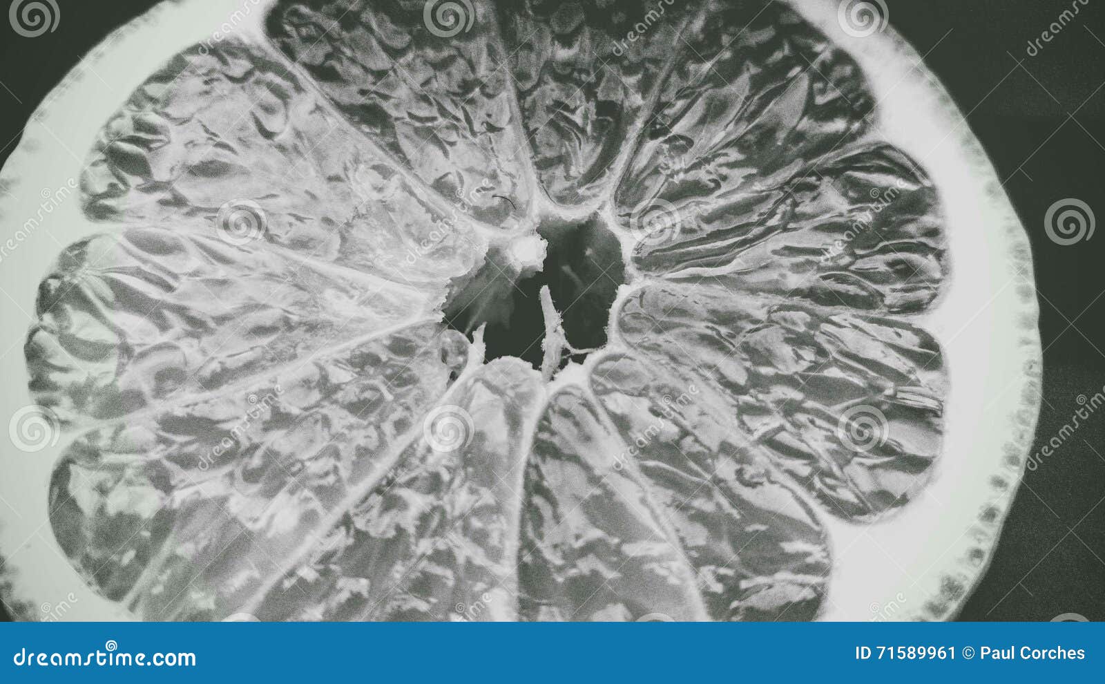 Dark lemon stock image. Image of beauty, lemon, monochromatic - 71589961