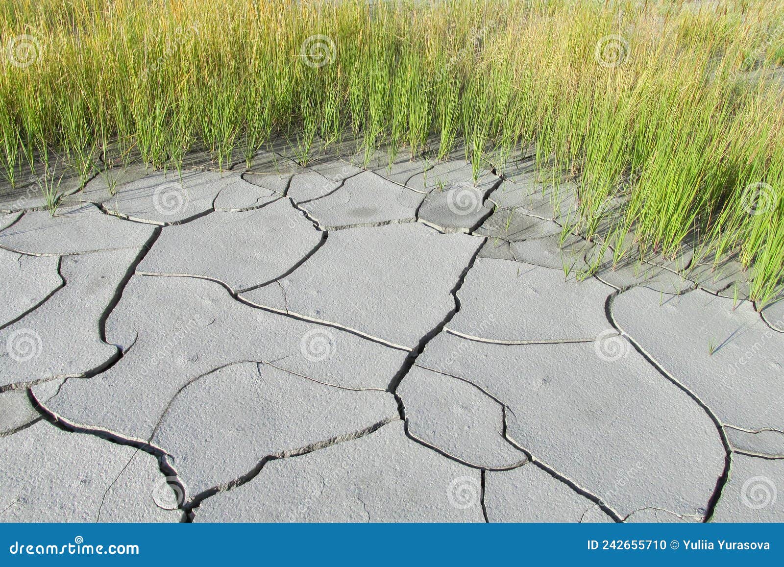 Dry Soil and Clay Texture Pattern Inside the Drying Riverbed Stock ...