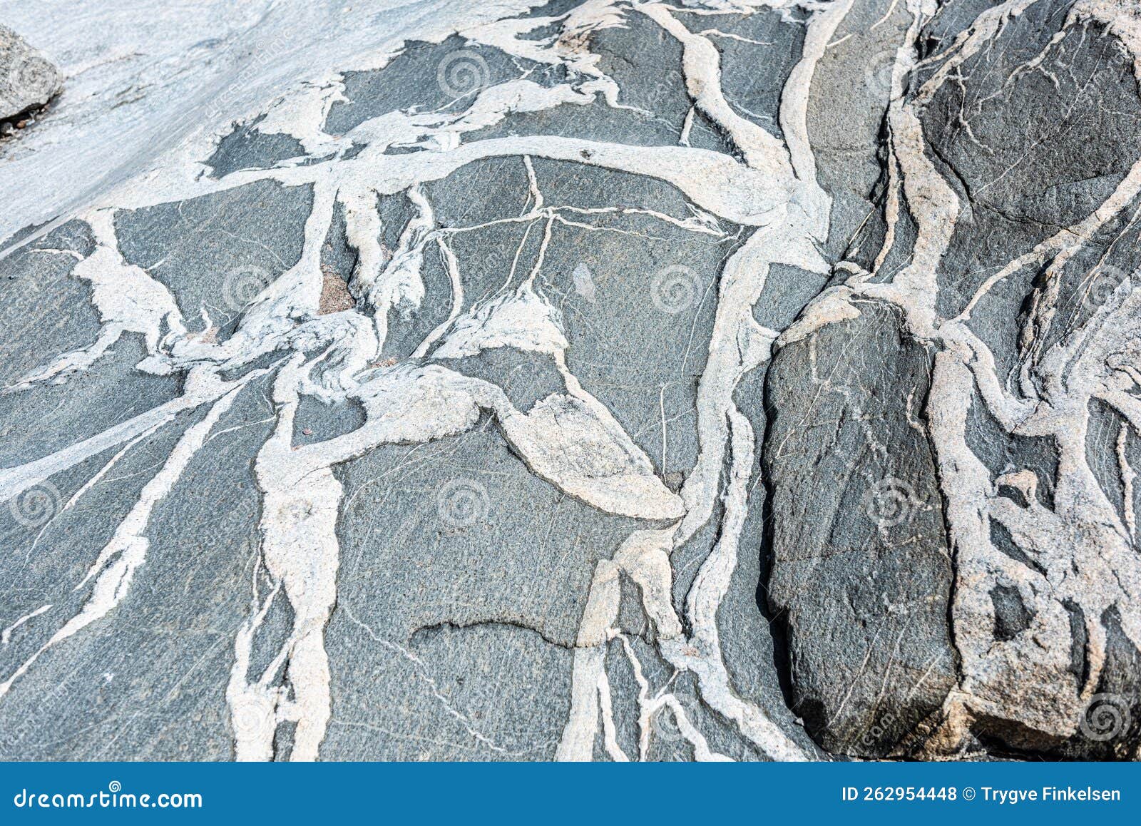 Dark and Light Grey Migmatite Rock Sanded Down by the Sea.. Stock Photo ...