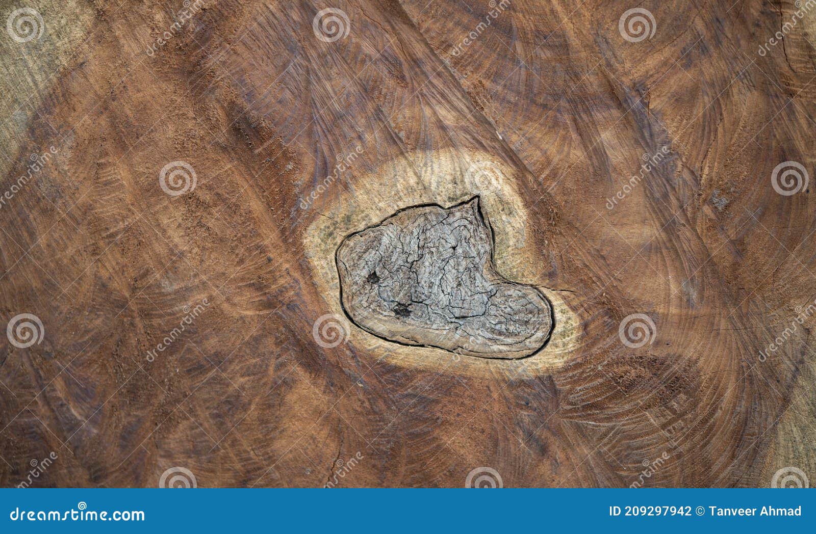 Dark and Light Shadows of Natural Wood Closeup Background Stock Photo ...