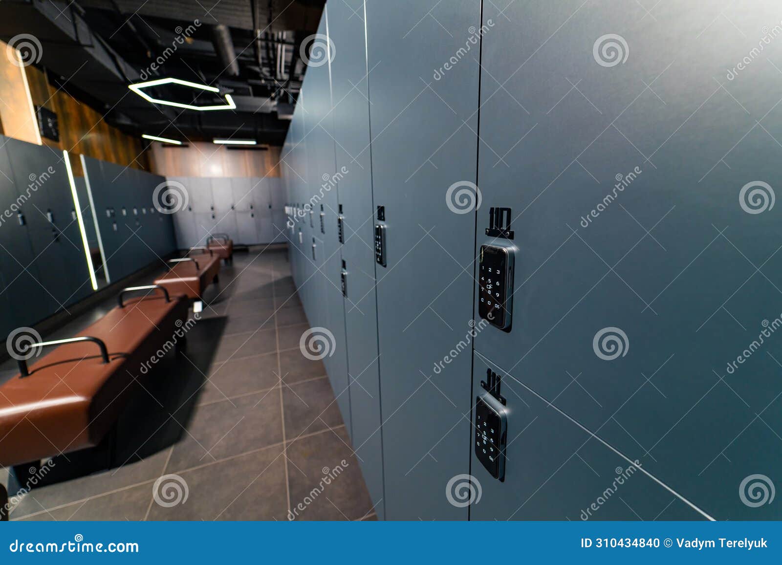 Dark Lockers with Luxury Benches in a Locker Room with Doors Closed ...