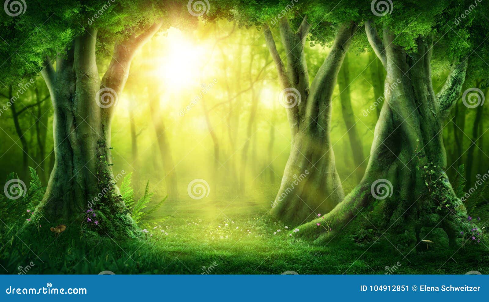 Dark Magical Forest Wallpaper