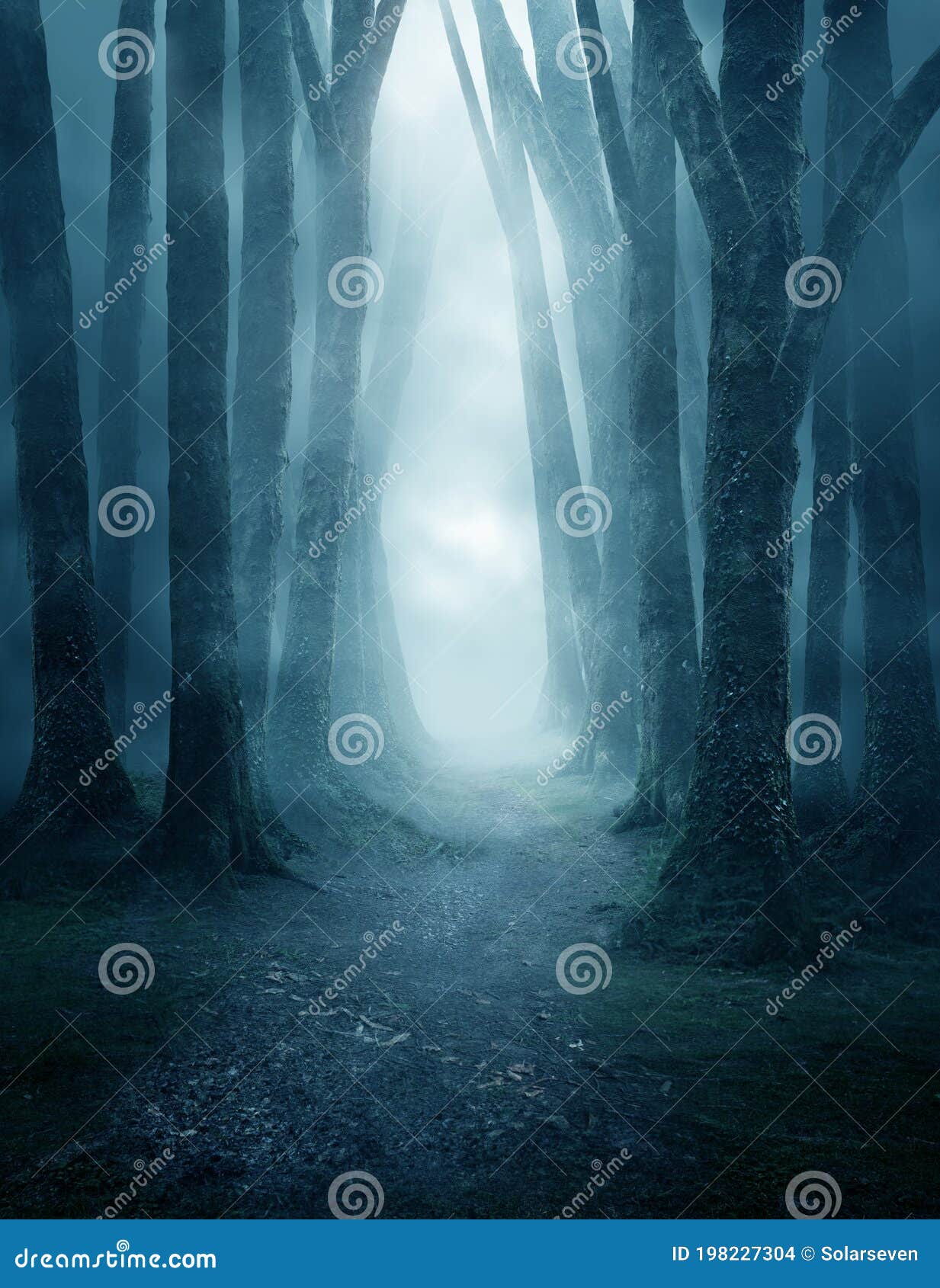 Dark and Misty Forest Pathway Stock Photo - Image of track, fairy ...