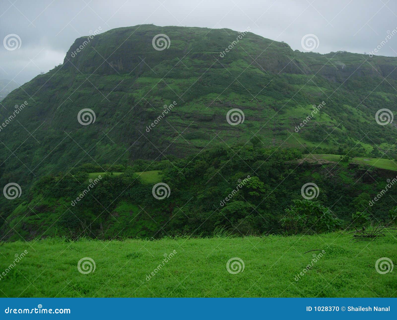 Dark Monsoon Green stock photo. Image of greenery, station - 1028370