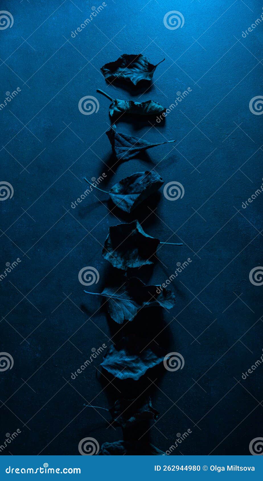 Dark Moody Faded Blue Autumn Leaf Background, Fall Decay Stock Photo ...