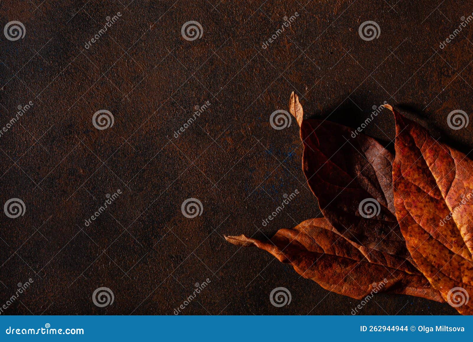 Dark Moody Faded Brown Autumn Leaf Background, Fall Decay Stock Photo ...