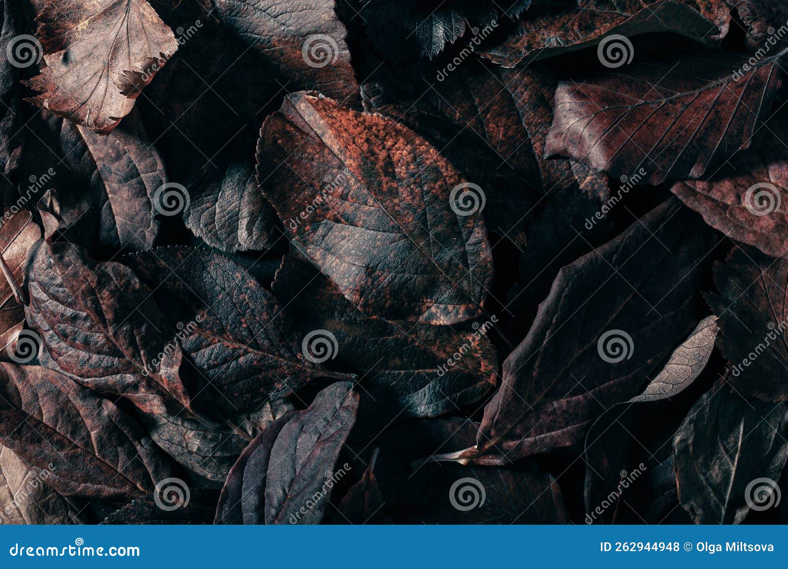 Dark Moody Faded Brown Autumn Leaf Background, Fall Decay Stock Photo ...