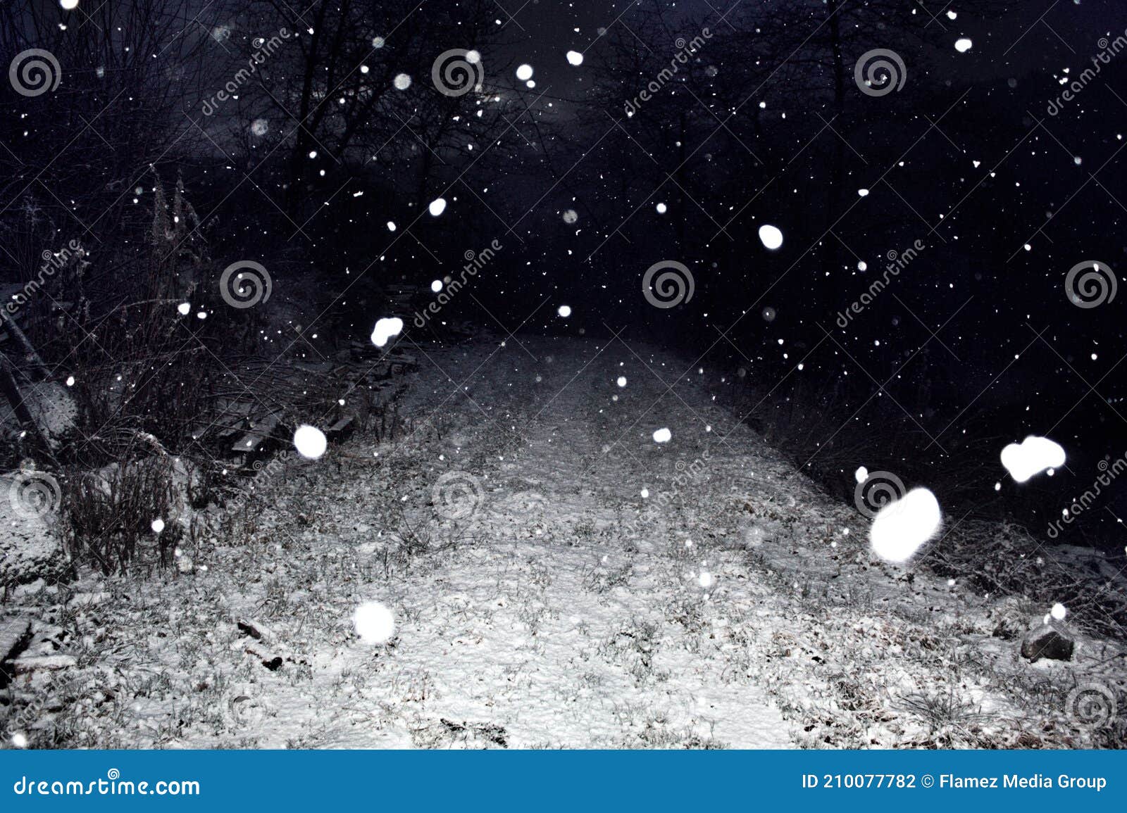 A Dark, Moody and Scary Path at Night Filled with Snow As it is Snowing ...