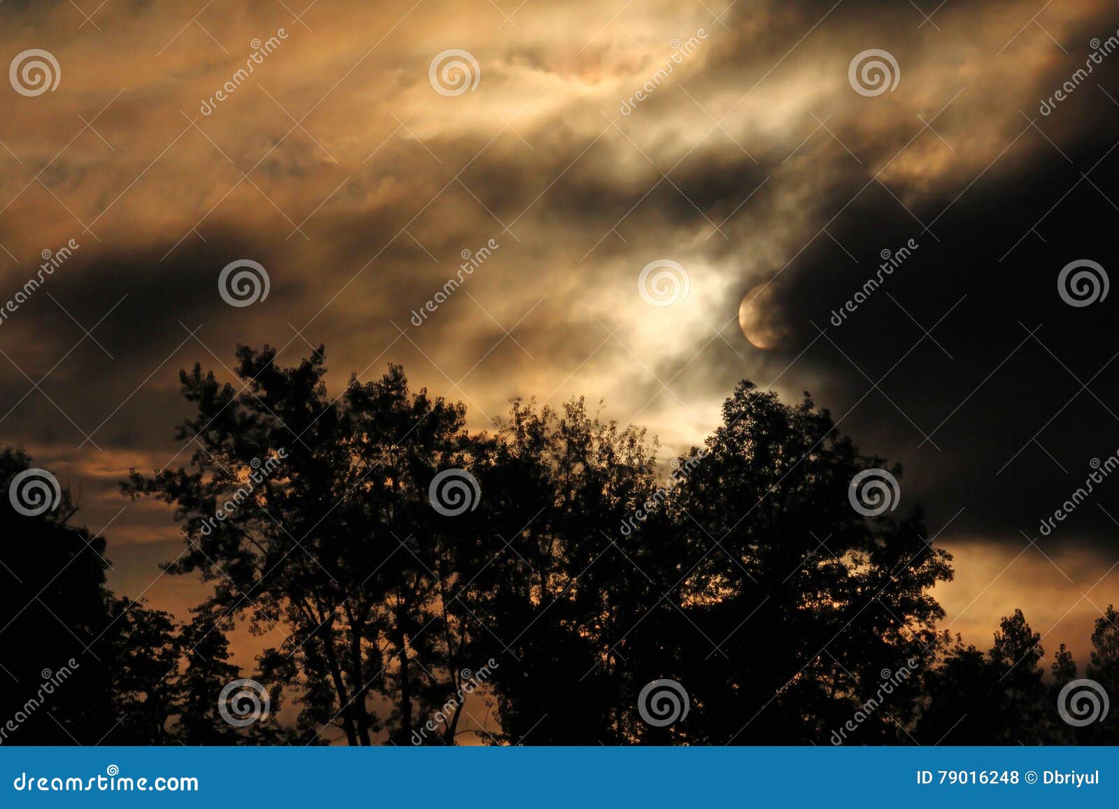 Dark morning sky stock photo. Image of nature, peace - 79016248