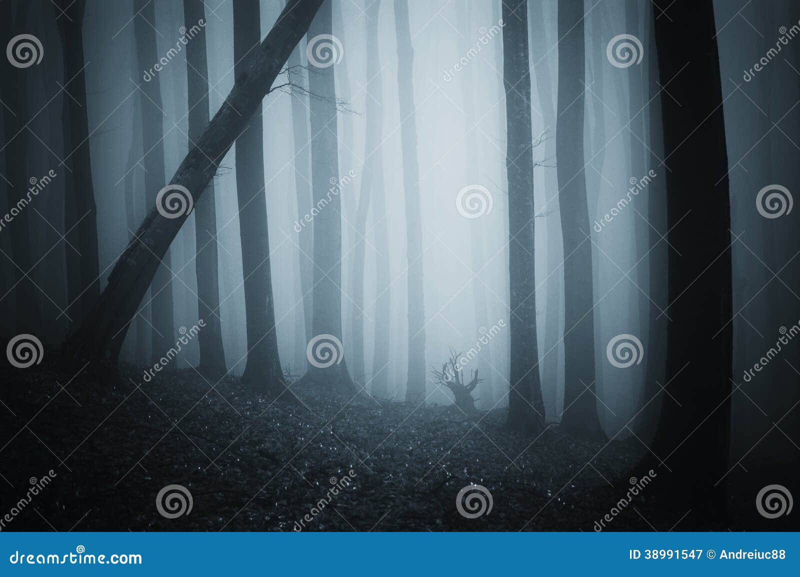 Dark Mysterious Forest with Fog on Halloween Night Stock Image - Image ...