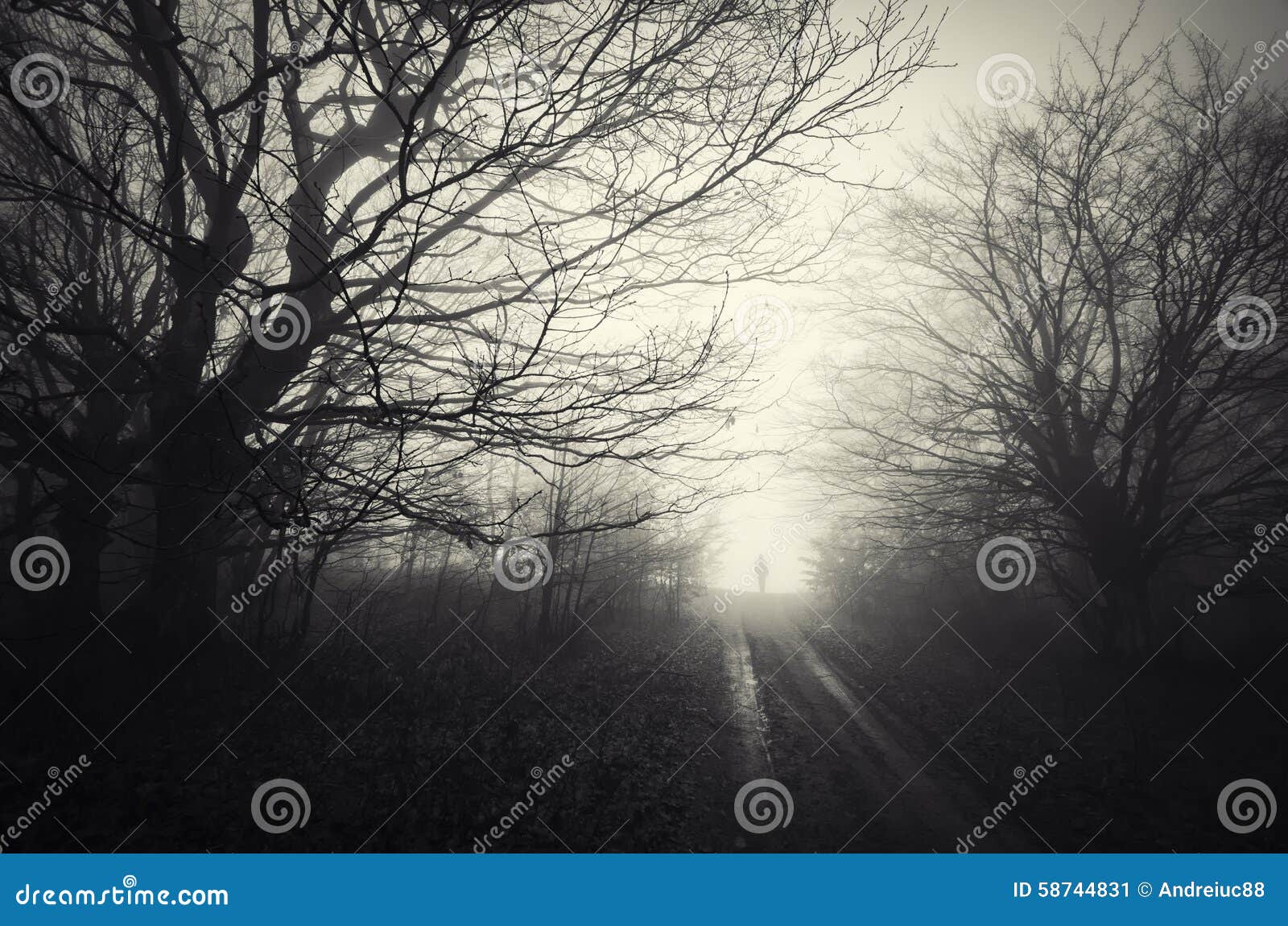 Dark Mysterious Haunted Forest with Ghost Silhouette on Road Stock ...