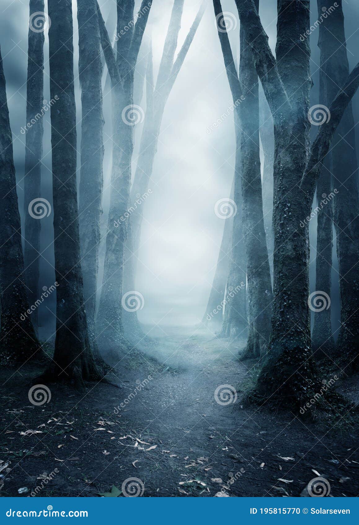 Dark and Mysterious Misty Forest Stock Photo - Image of forest, scenic ...