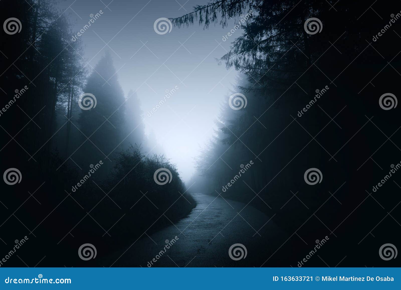A Mysterious Path Runs Through The Jungle. Stock Image | CartoonDealer ...