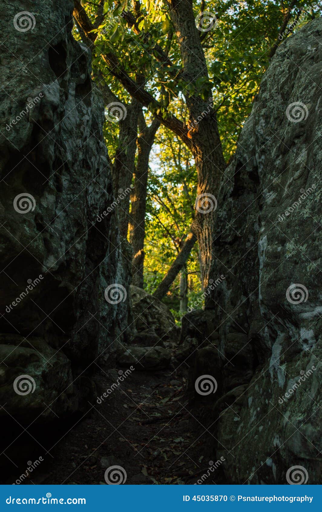A dark and narrow path stock photo. Image of cliff, outdoor - 45035870