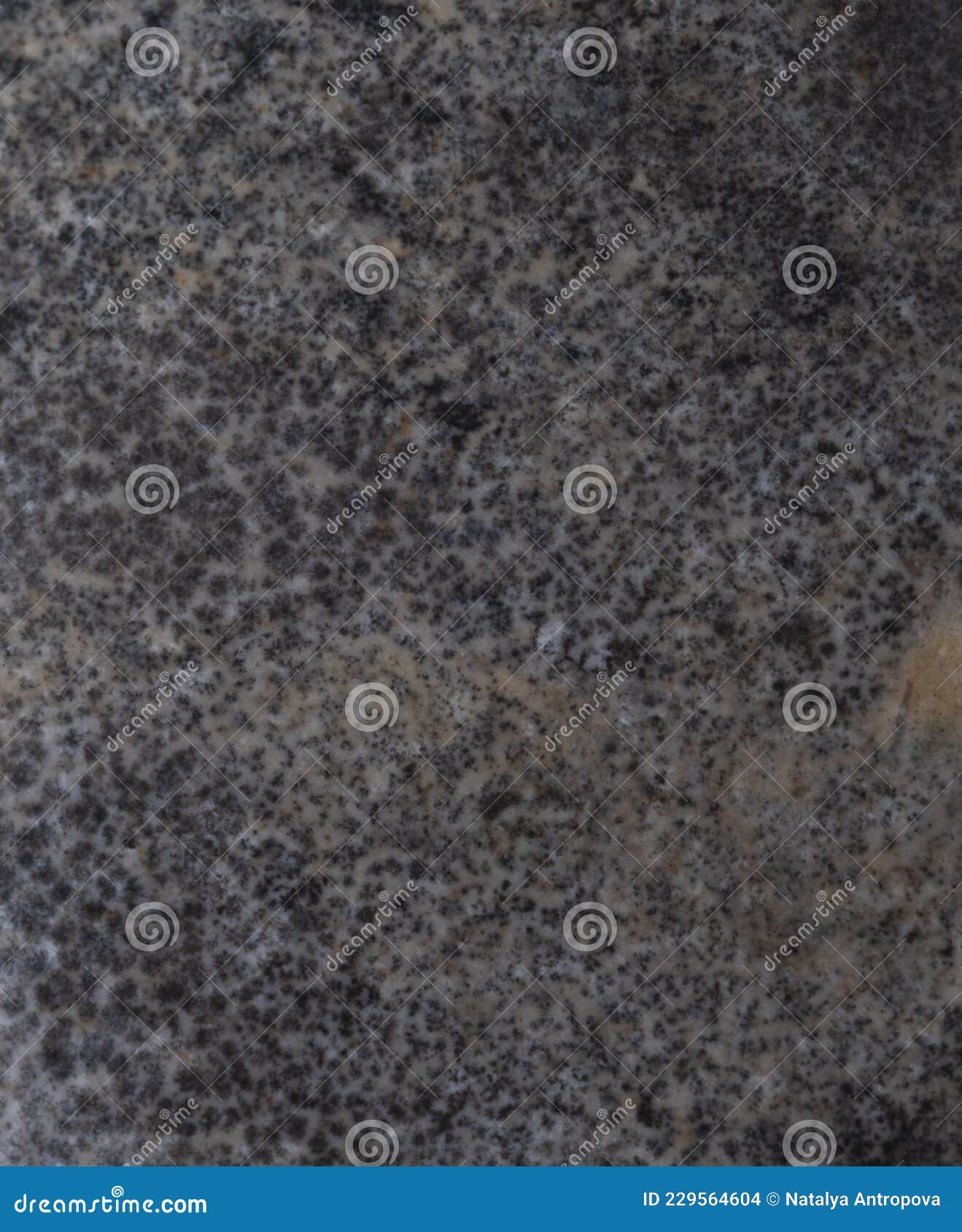 Dark Natural Stone Background, the Texture of the Stone Stock Photo ...