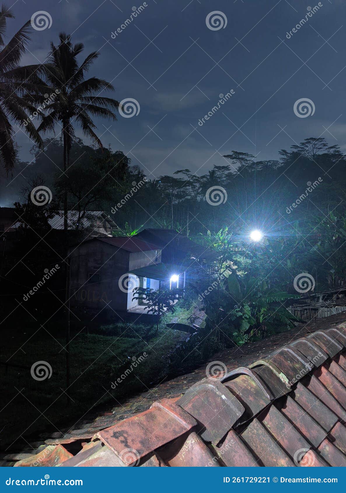 Dark Night in the Countryside Stock Image - Image of plant, lighting ...
