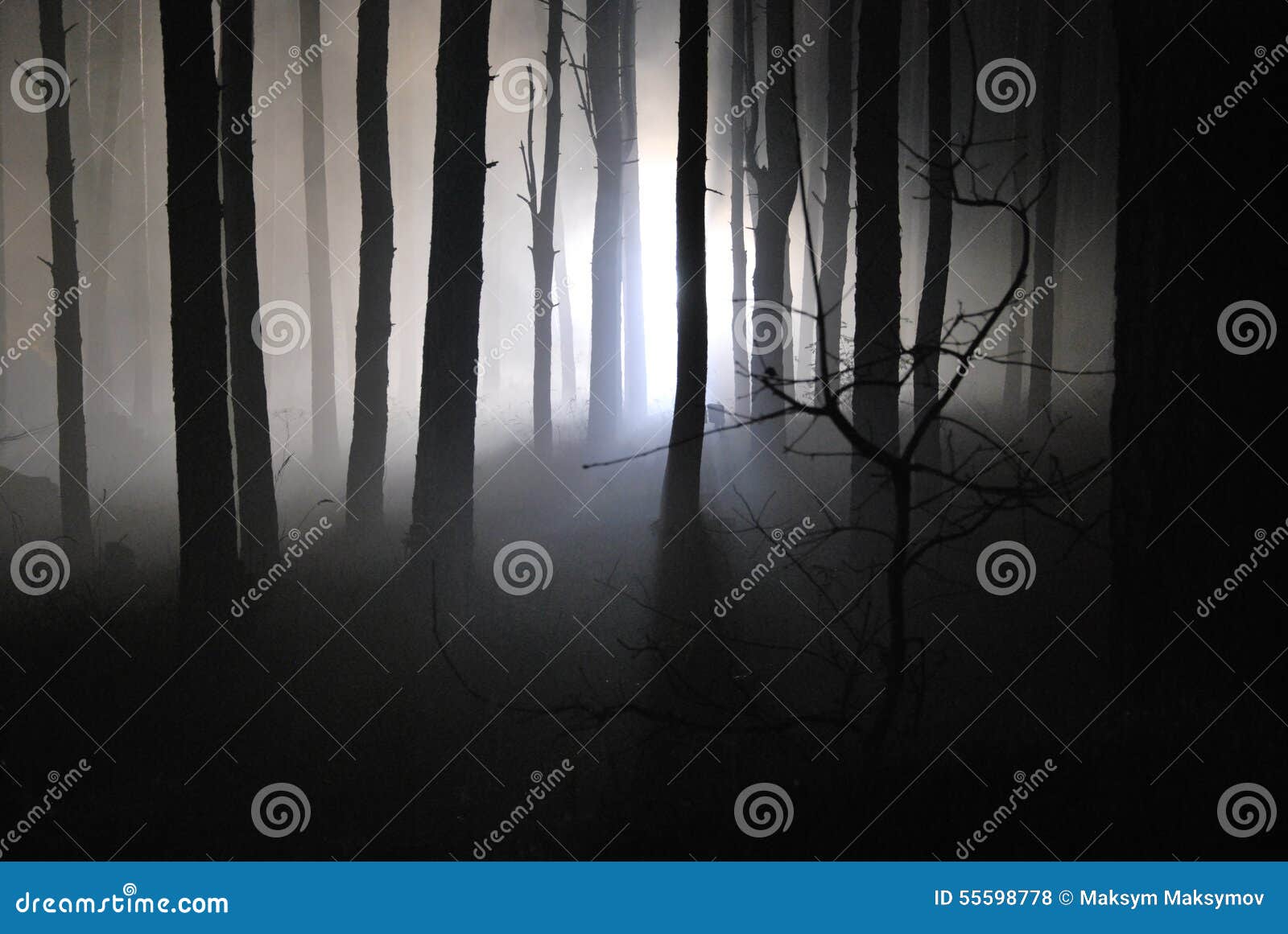 Dark Night Forest in a Fog 05 Stock Photo - Image of forest, light ...