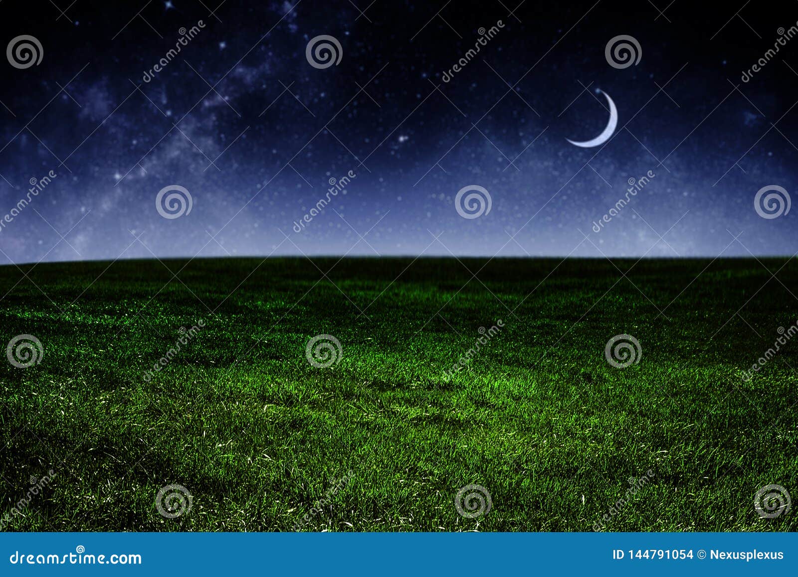 Grass At Night