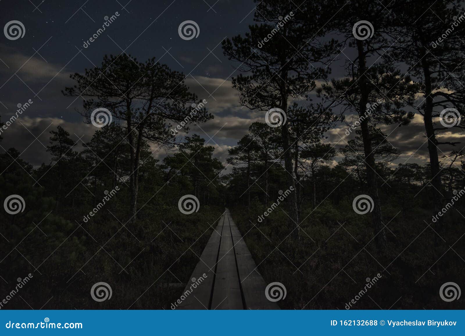 Dark night on a swamp stock photo. Image of moon, horror - 162132688