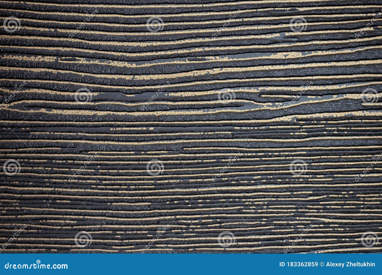 Dark Oak Wenge, Natural Ebony Pattern on a Slice Closeup Stock Image ...