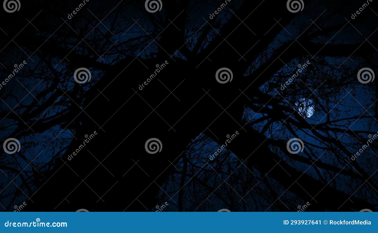 Dark Old Tree Silhouetted in the Moonlight Stock Video - Video of ...