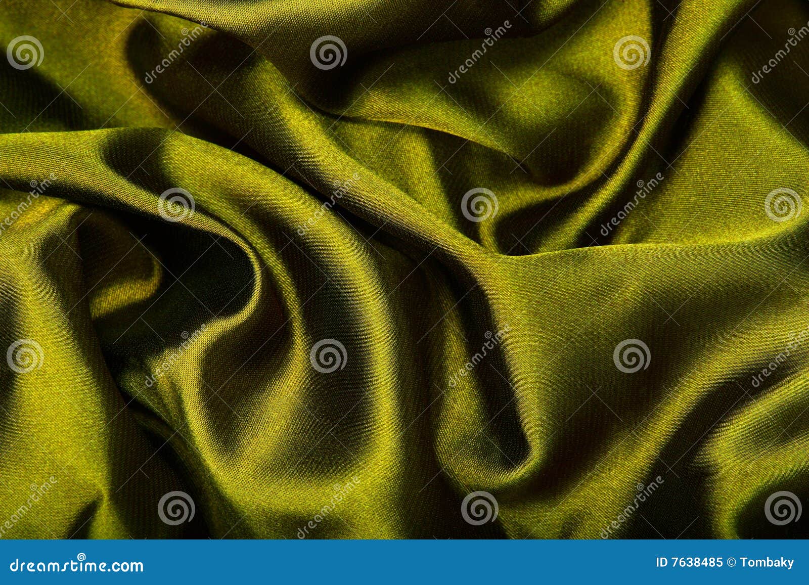 Dark Olive Creepy Spooky Scary Forest Royalty-Free Stock Photo ...