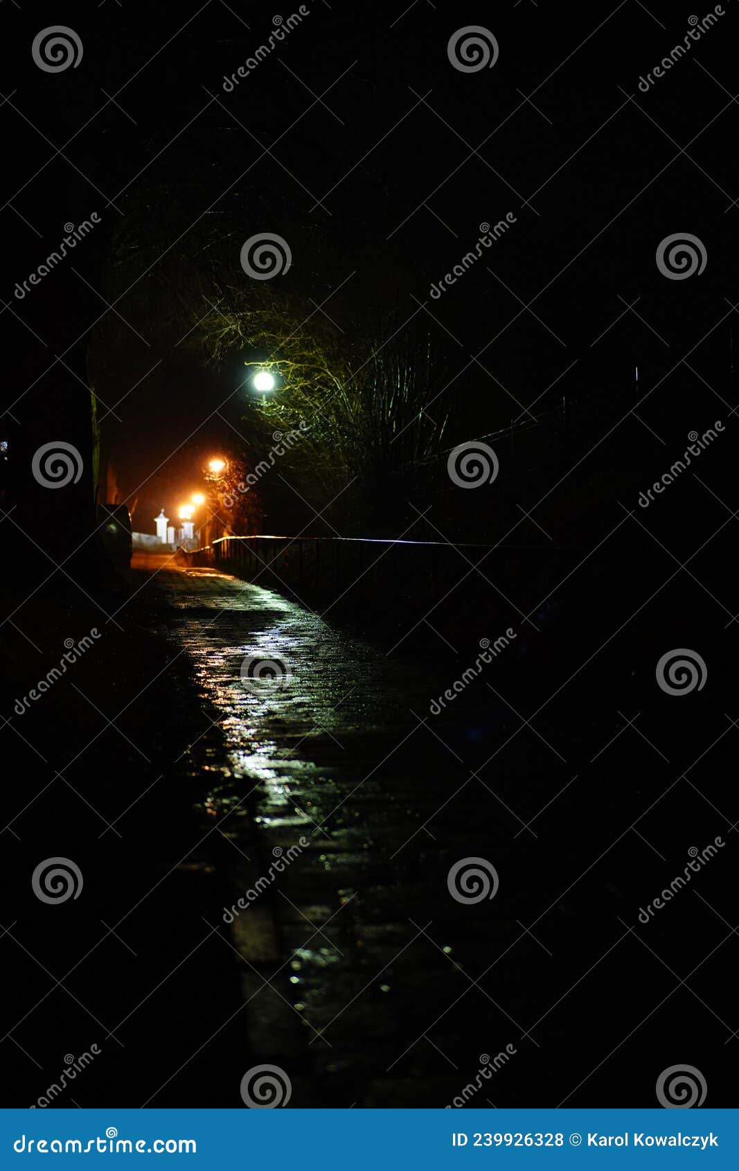 Dark, Park Path in Night Time Stock Photo - Image of poster, darkness ...