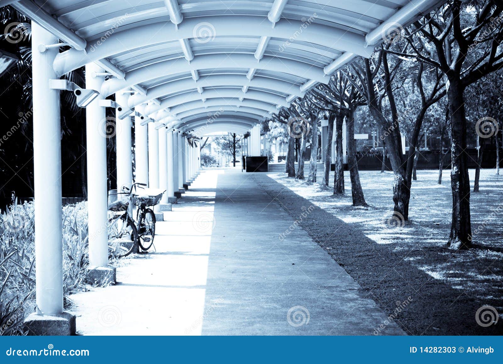 Dark path stock image. Image of shelter, dense, building - 14282303