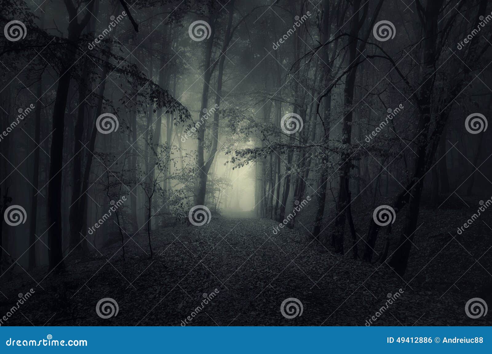 Dark Path Through Dalby Forest Stock Photography | CartoonDealer.com ...