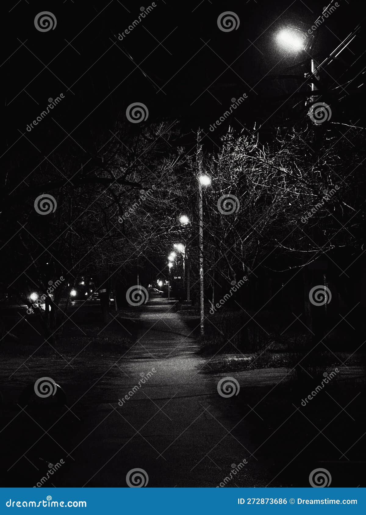 Dark path stock photo. Image of night, path, dark, trail - 272873686