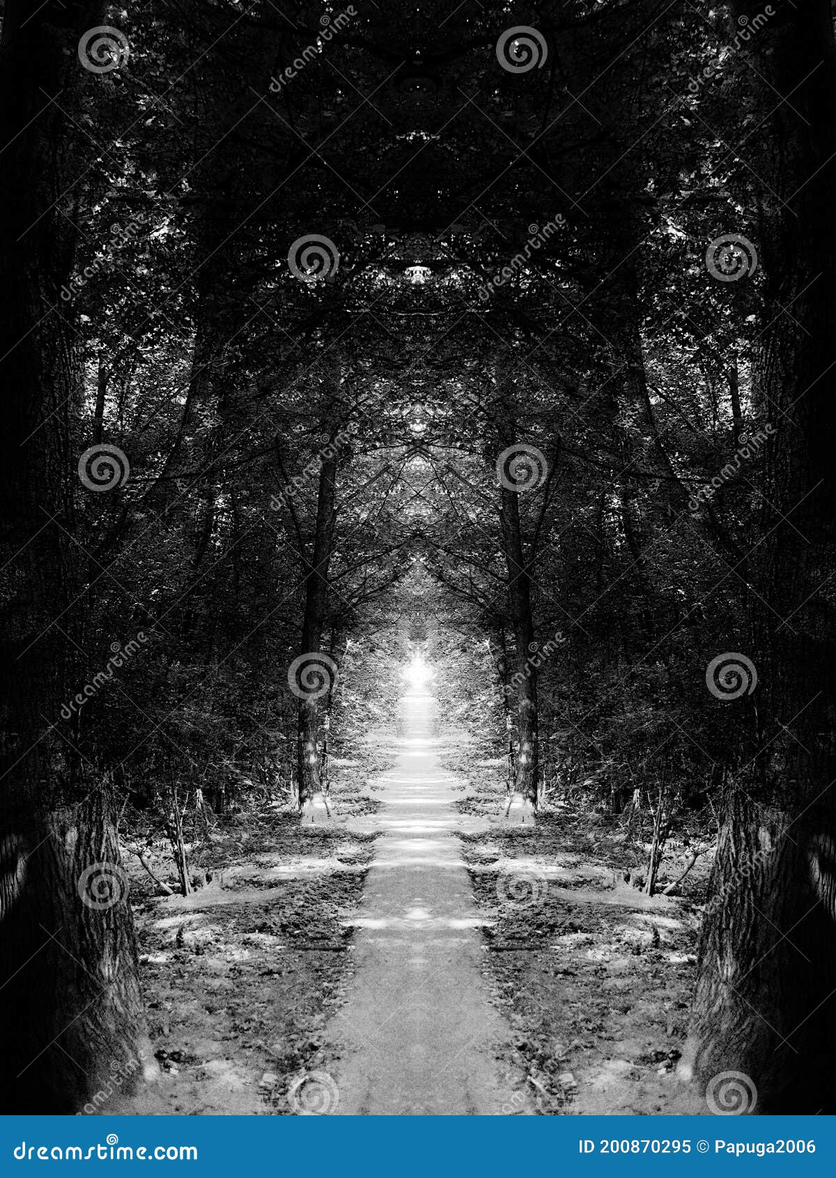 Dark Path Through Dalby Forest Stock Photography | CartoonDealer.com ...