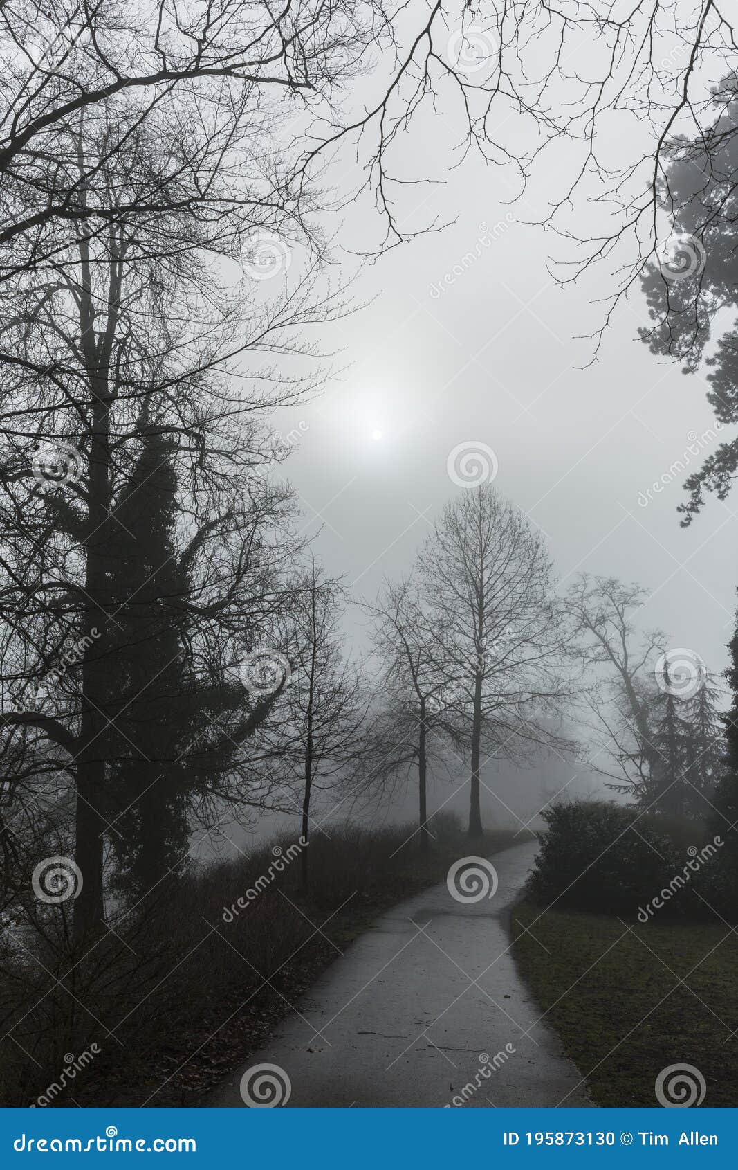 Dark Pathway through City Park Stock Photo - Image of morning, woodland ...