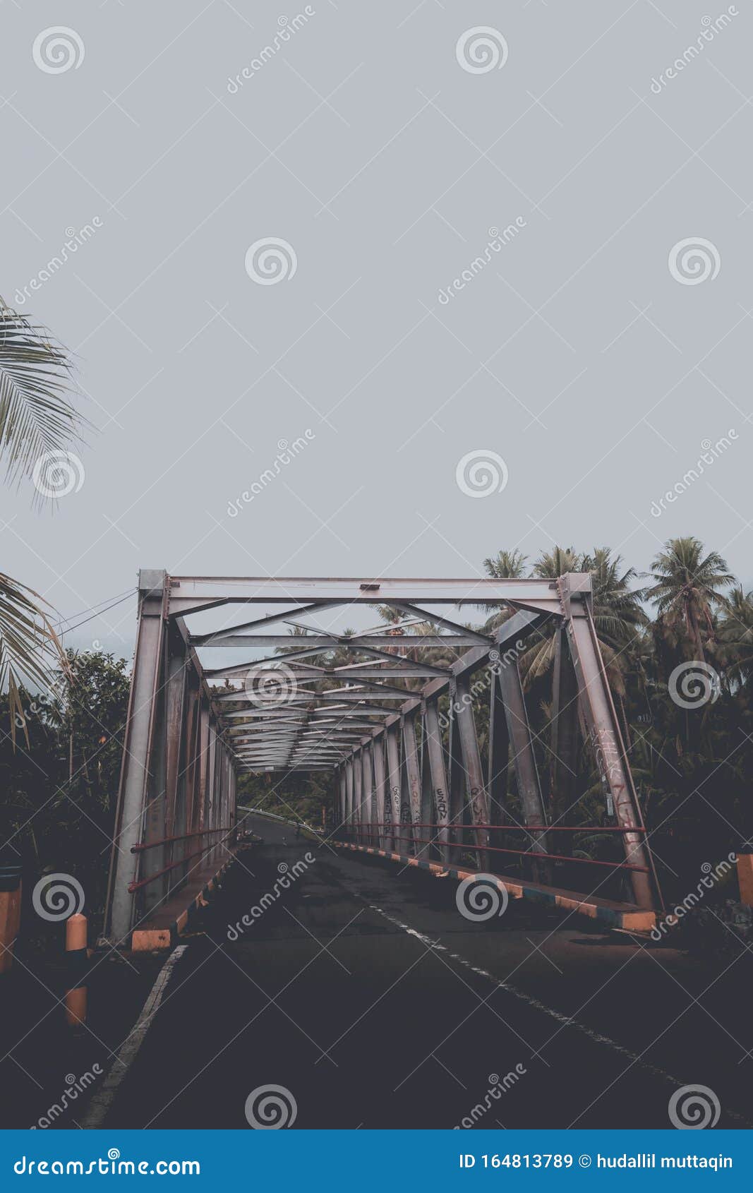 Dark Pedestrian Bridge with Sky and Tree Stock Image - Image of tree ...