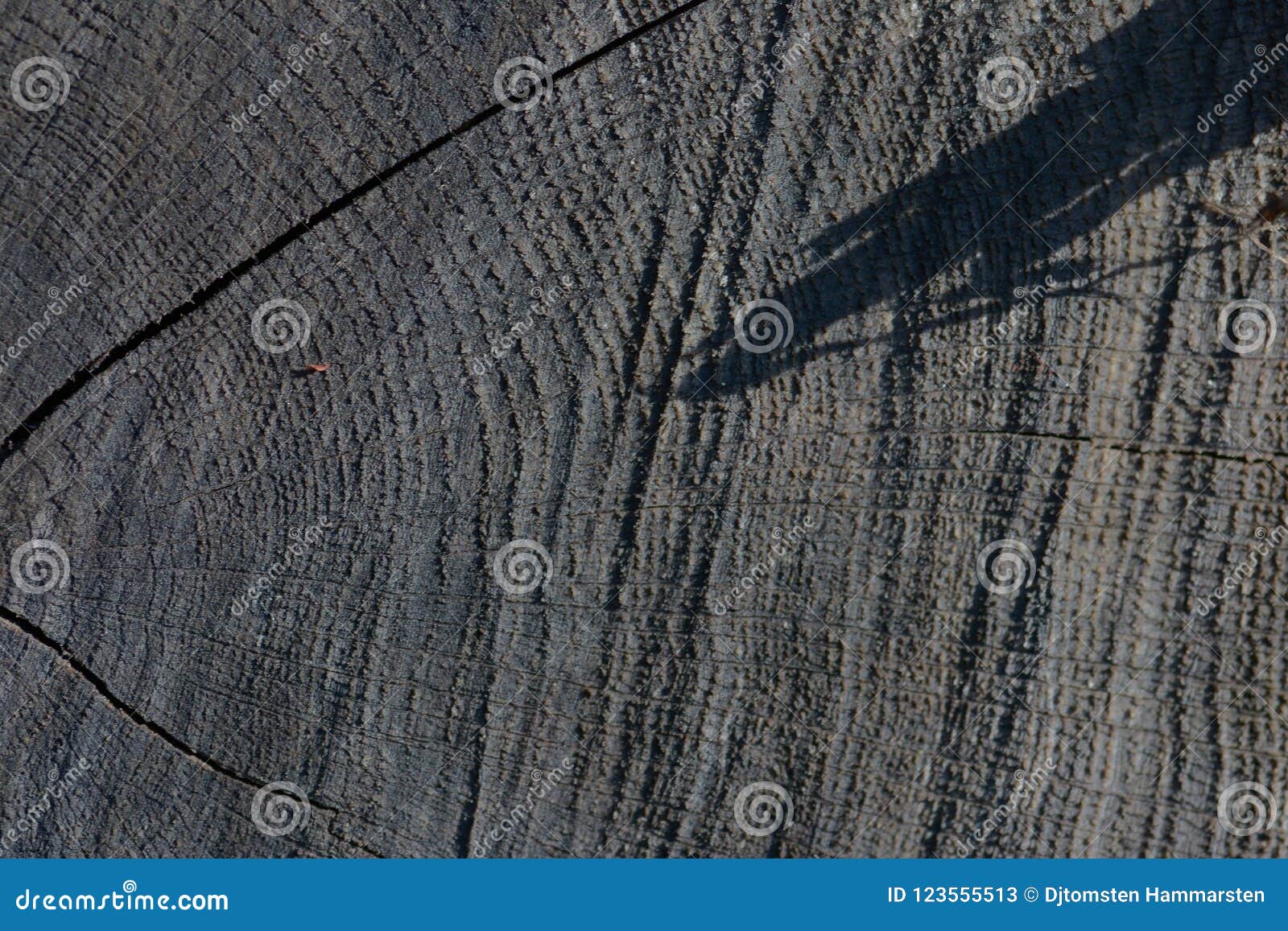 Dark Planks Wood, Differents Patterns and Cracks. Stock Image - Image ...