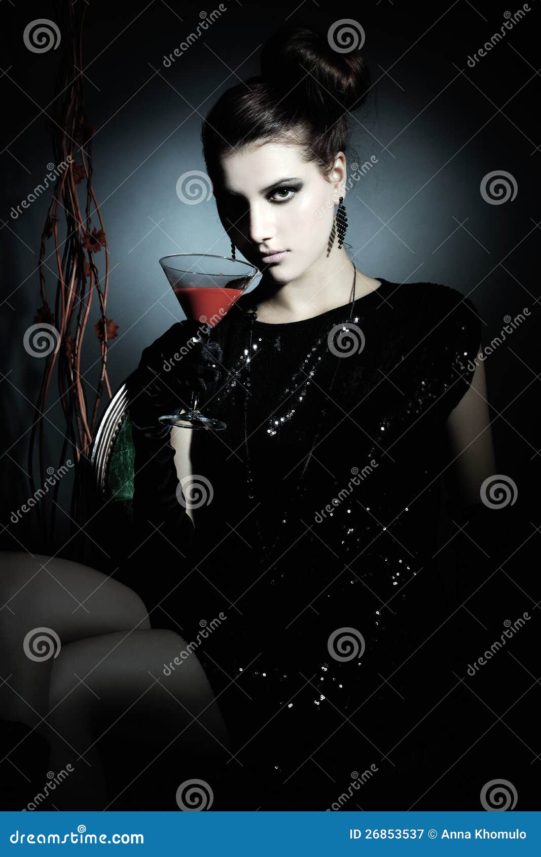 Dark portrait stock image. Image of fashion, beautiful - 26853537