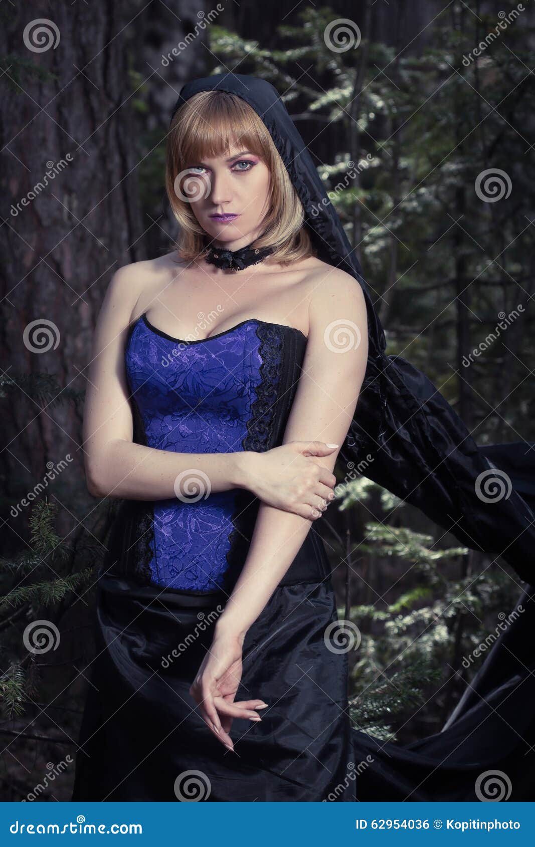 Dark Portrait of the Forest Keeper. Fantasy and Stock Photo - Image of ...
