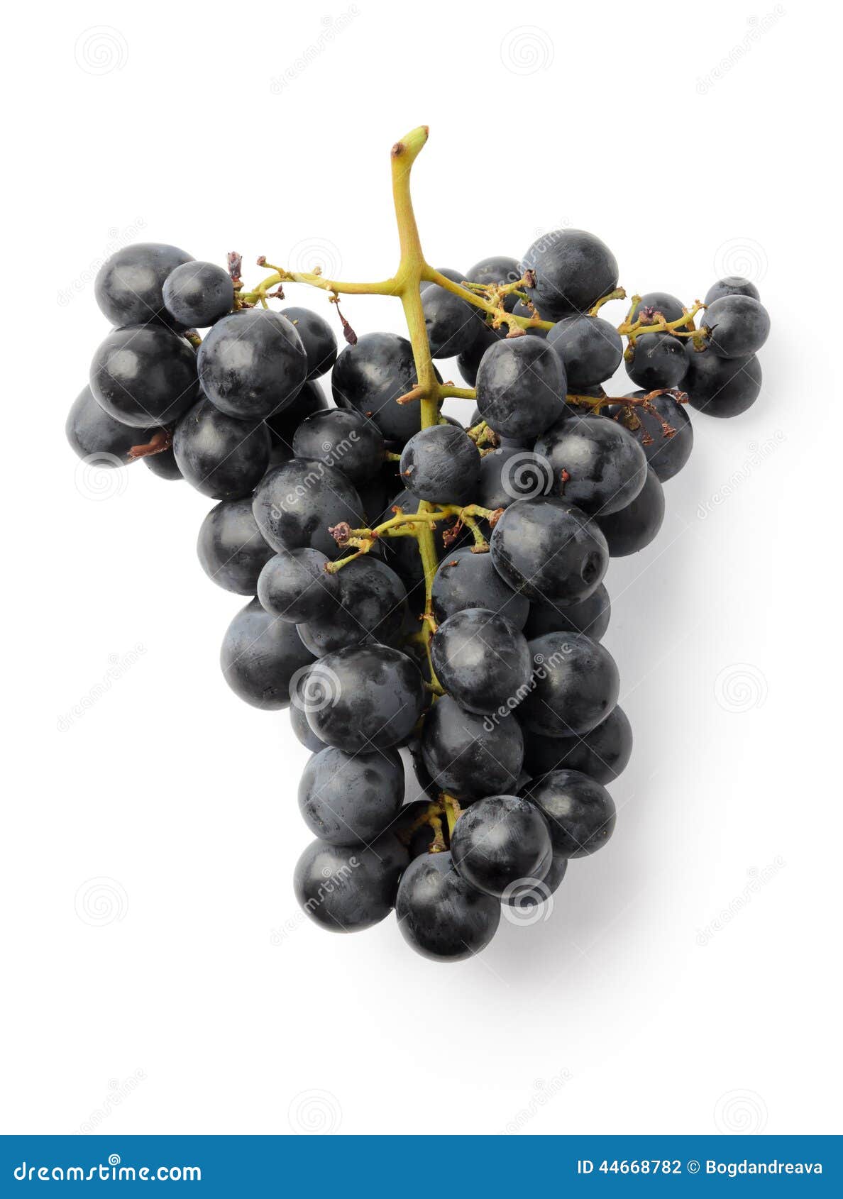 Dark purple grapes stock photo. Image of plant, tasty - 44668782