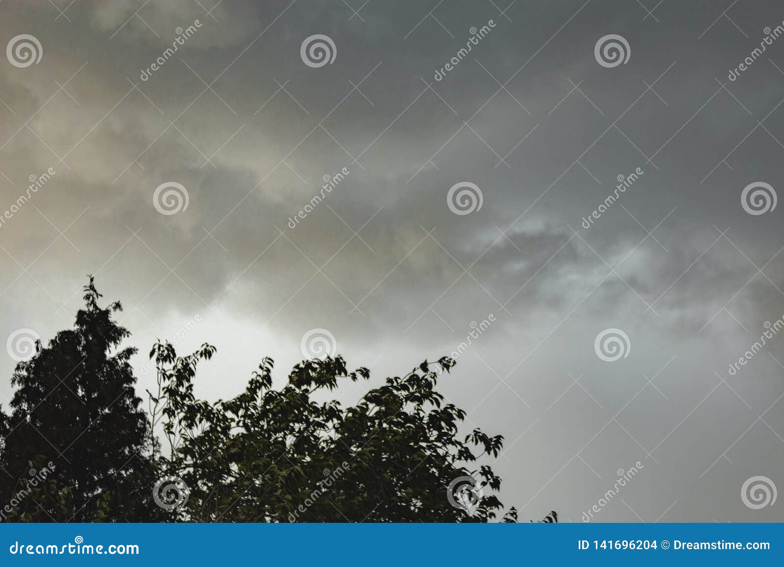Dark Rain Clouds Forming Above Trees Stock Photo - Image of tree ...