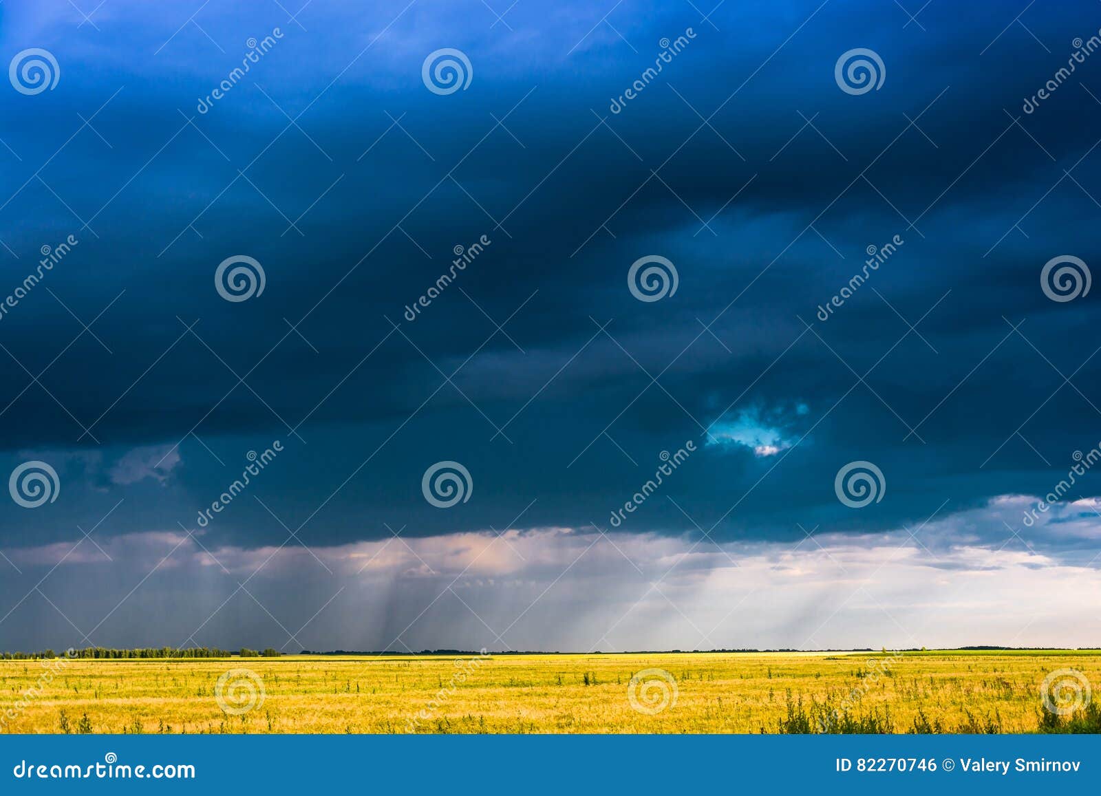 Dark Rain Sky and Yellow Field. Stock Photo - Image of field, nature ...
