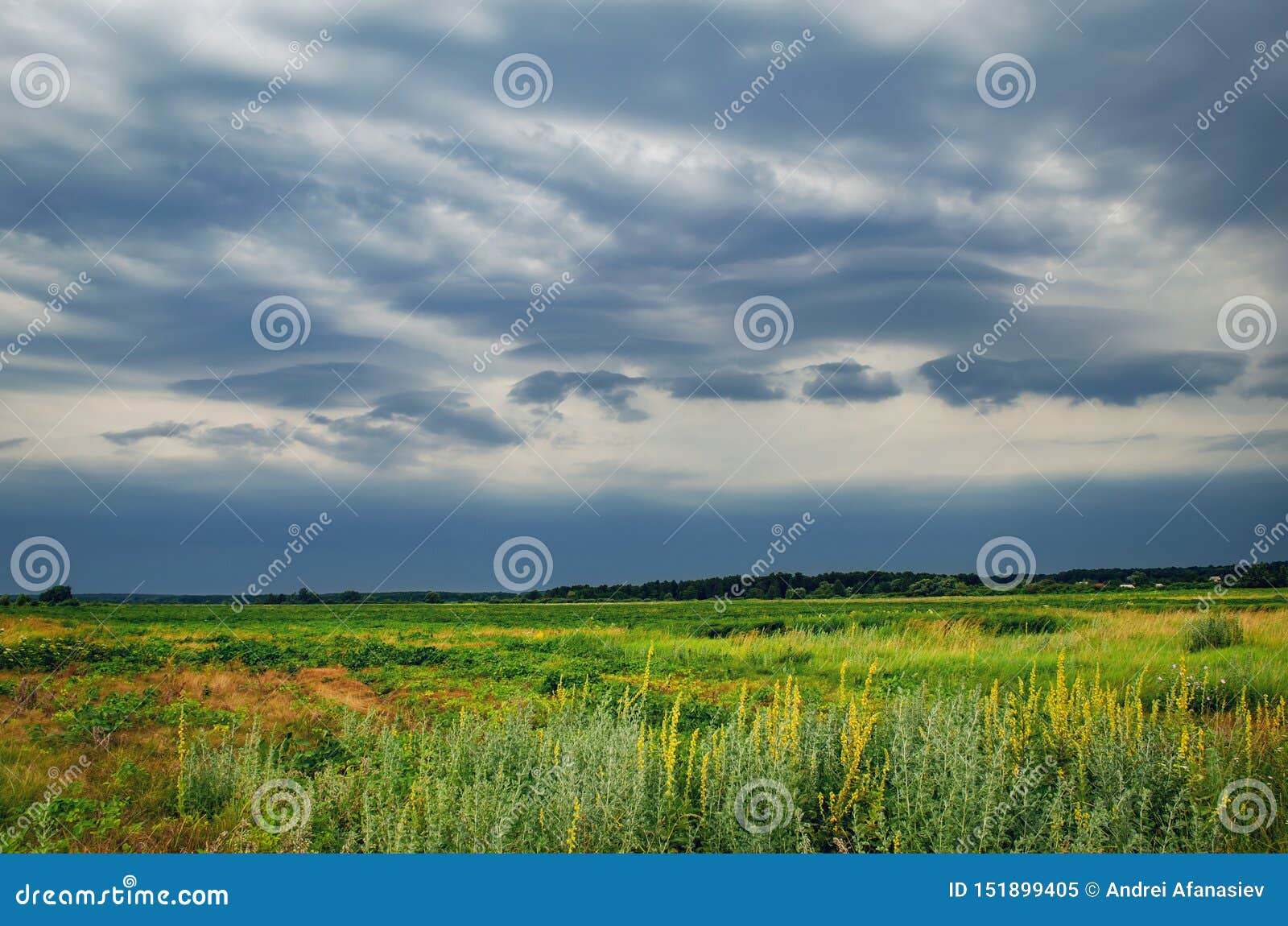 Dark Rain Storm Clouds Over the Field Stock Image - Image of nature ...