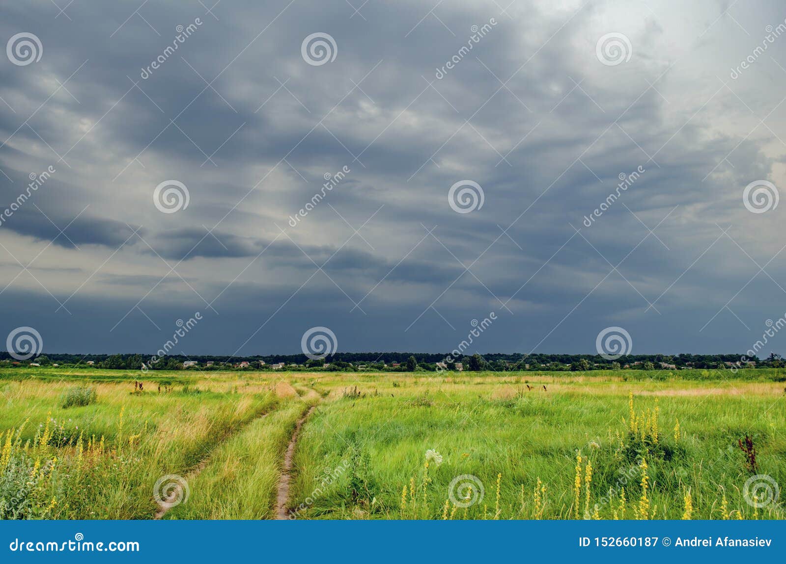 Dark Rain Storm Clouds Over the Field Stock Image - Image of field ...