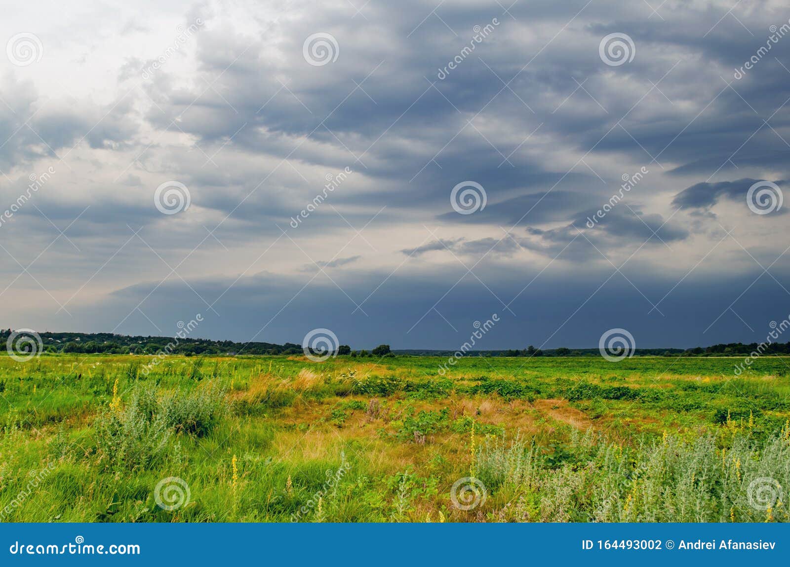 Dark Rain Storm Clouds Over the Field Stock Photo - Image of cloudscape ...