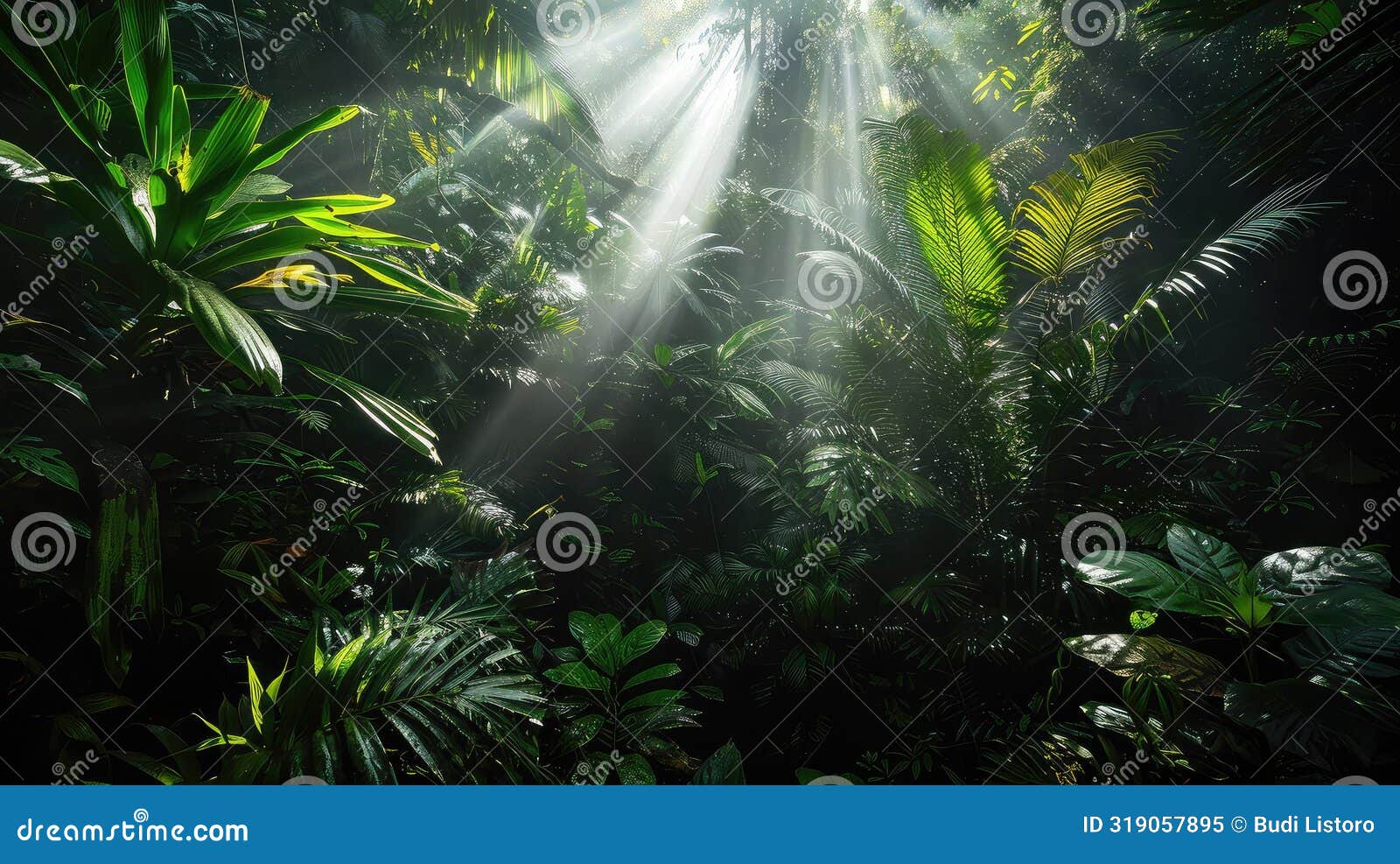 Dark Rainforest, Sun Rays through the Trees, Rich Jungle Greenery Stock ...