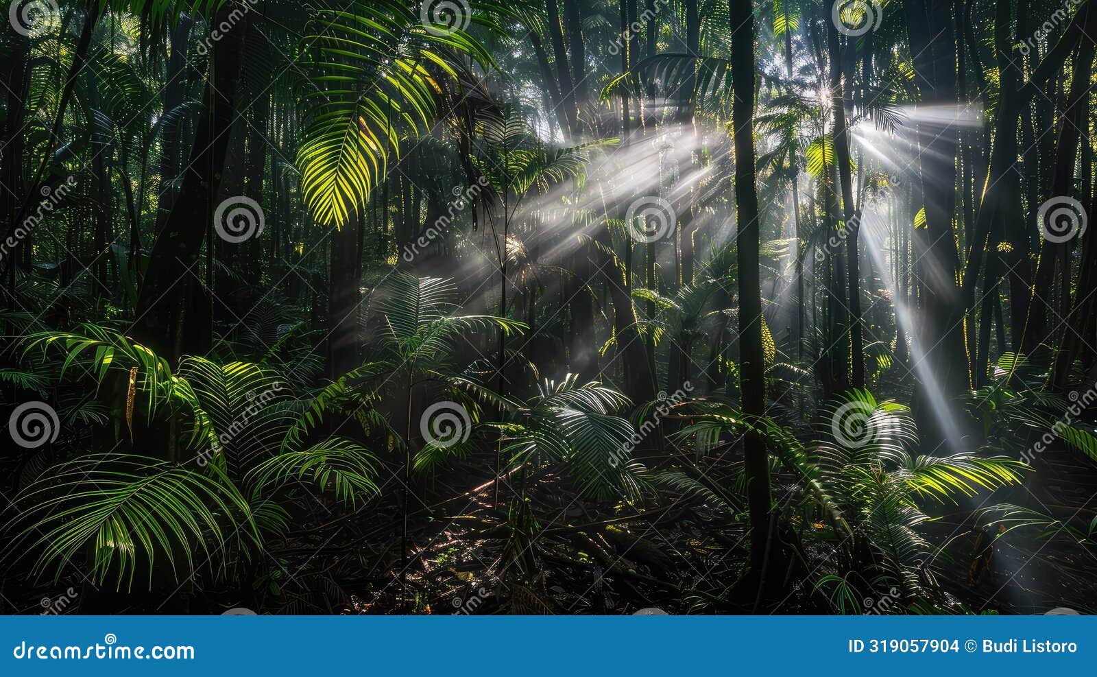 Dark Rainforest, Sun Rays through the Trees, Rich Jungle Greenery Stock ...