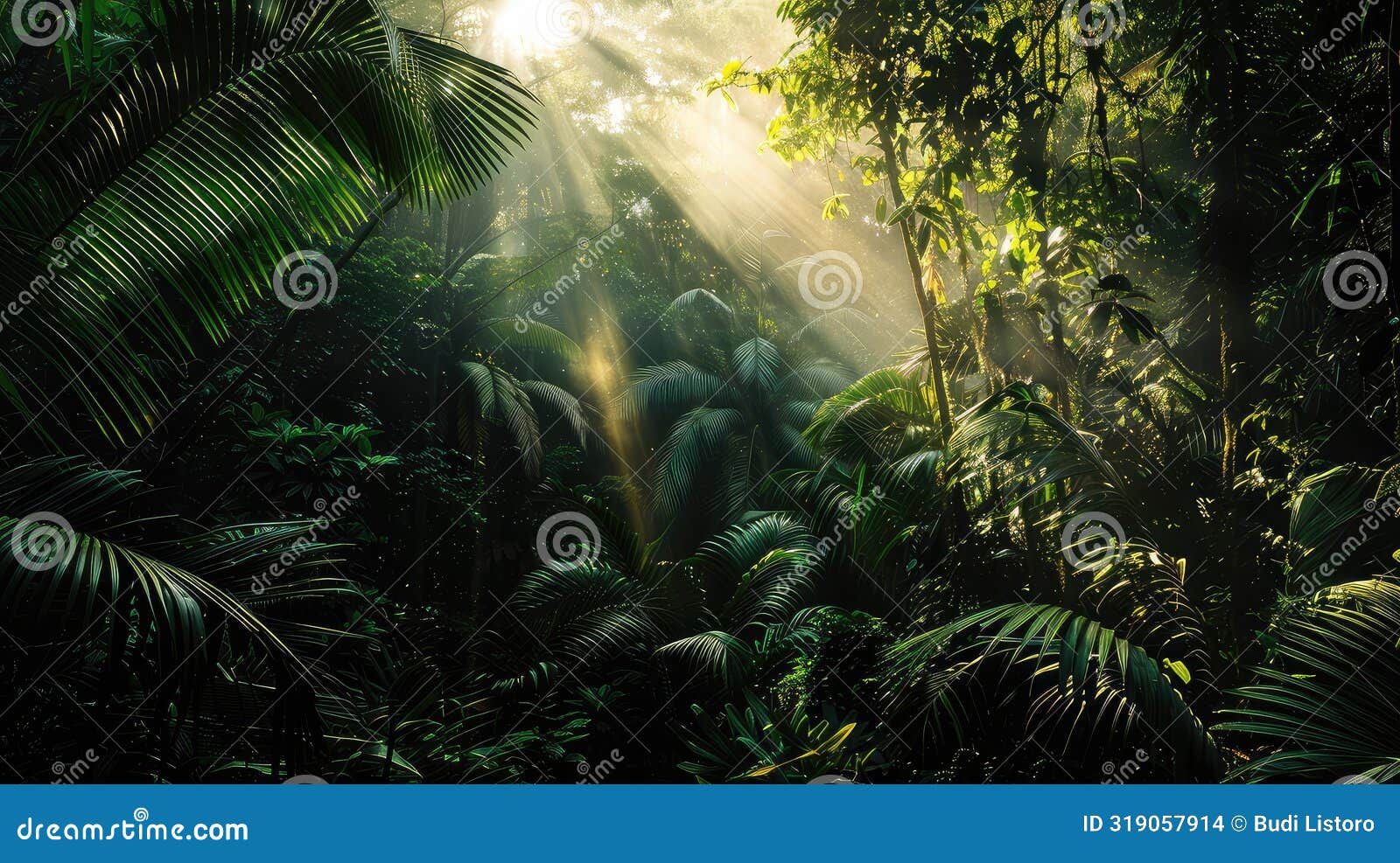 Dark Rainforest, Sun Rays through the Trees, Rich Jungle Greenery Stock ...