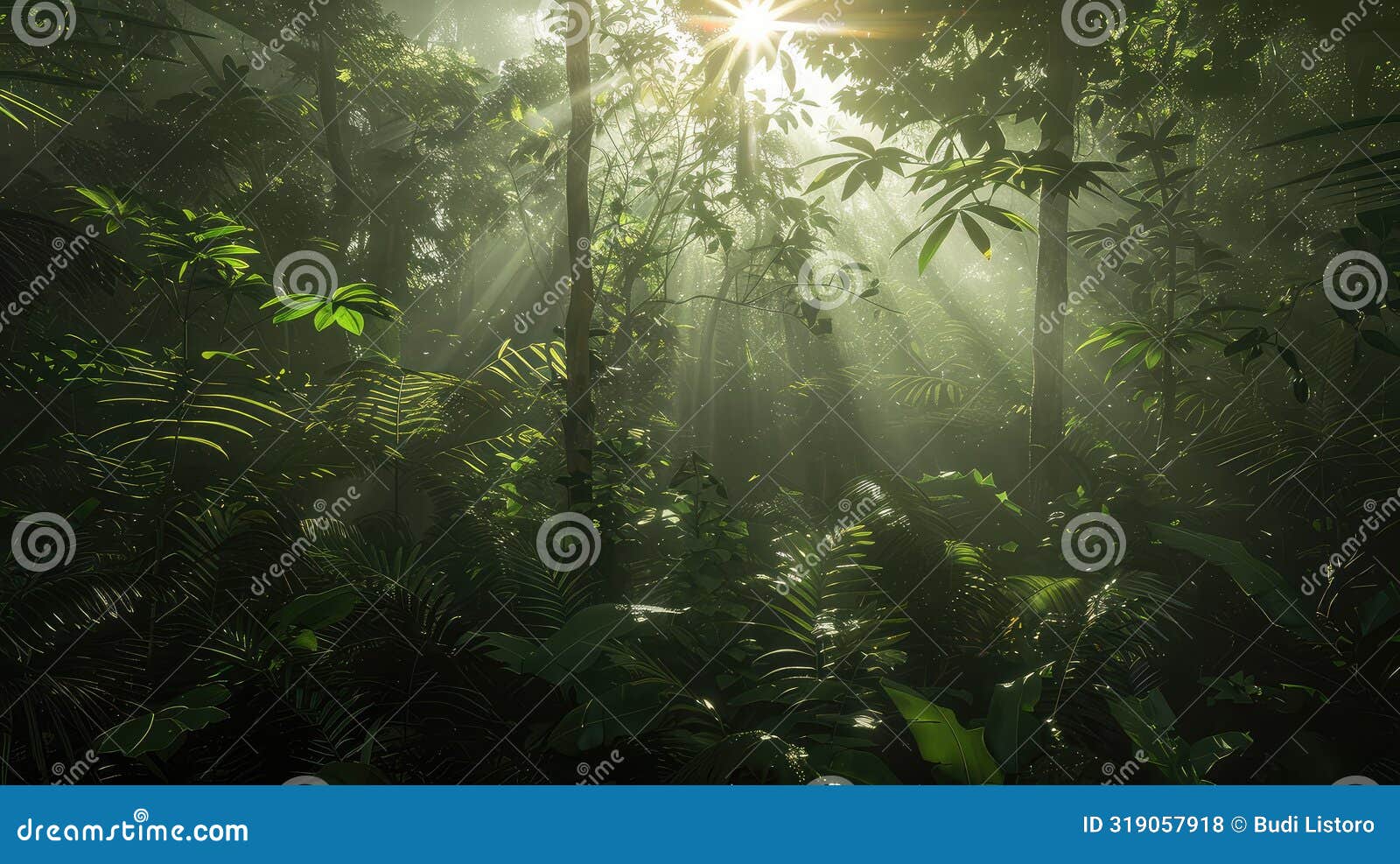 Dark Rainforest, Sun Rays through the Trees, Rich Jungle Greenery Stock ...